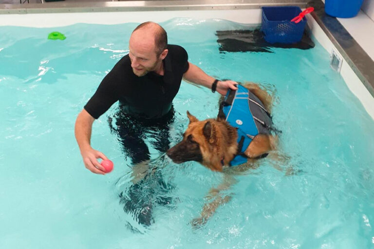 How dogs can benefit from hydrotherapy treatment